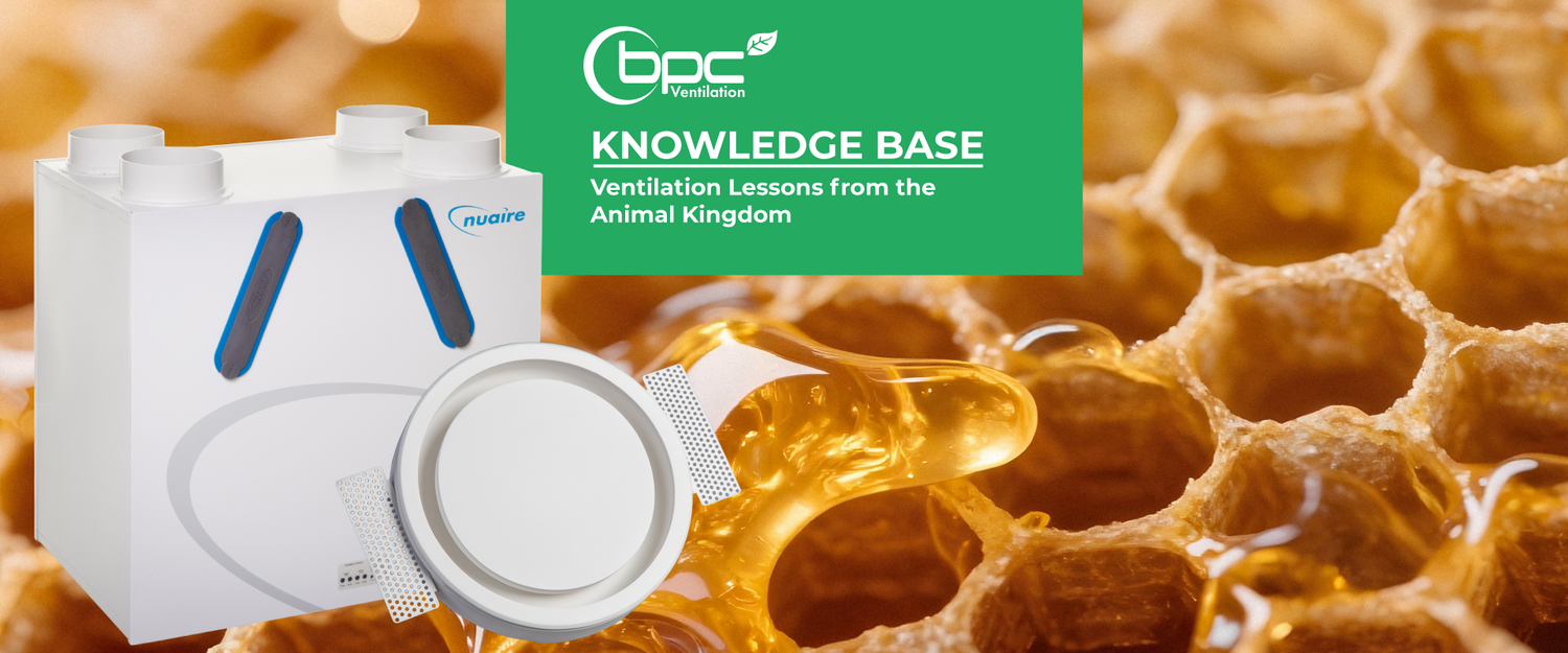 Ventilation Lessons from the Animal Kingdom! – BPC Ventilation Store